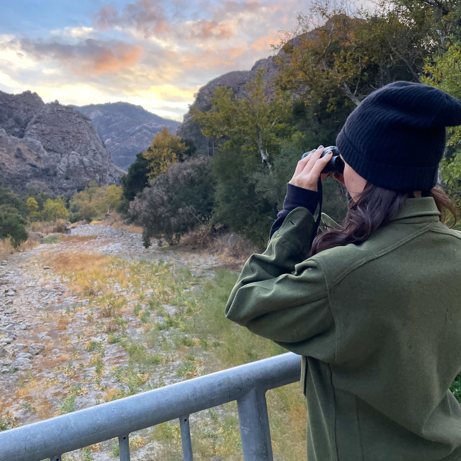 Private Guided Birding Tour - BIRDS, TOURS, & THREADS